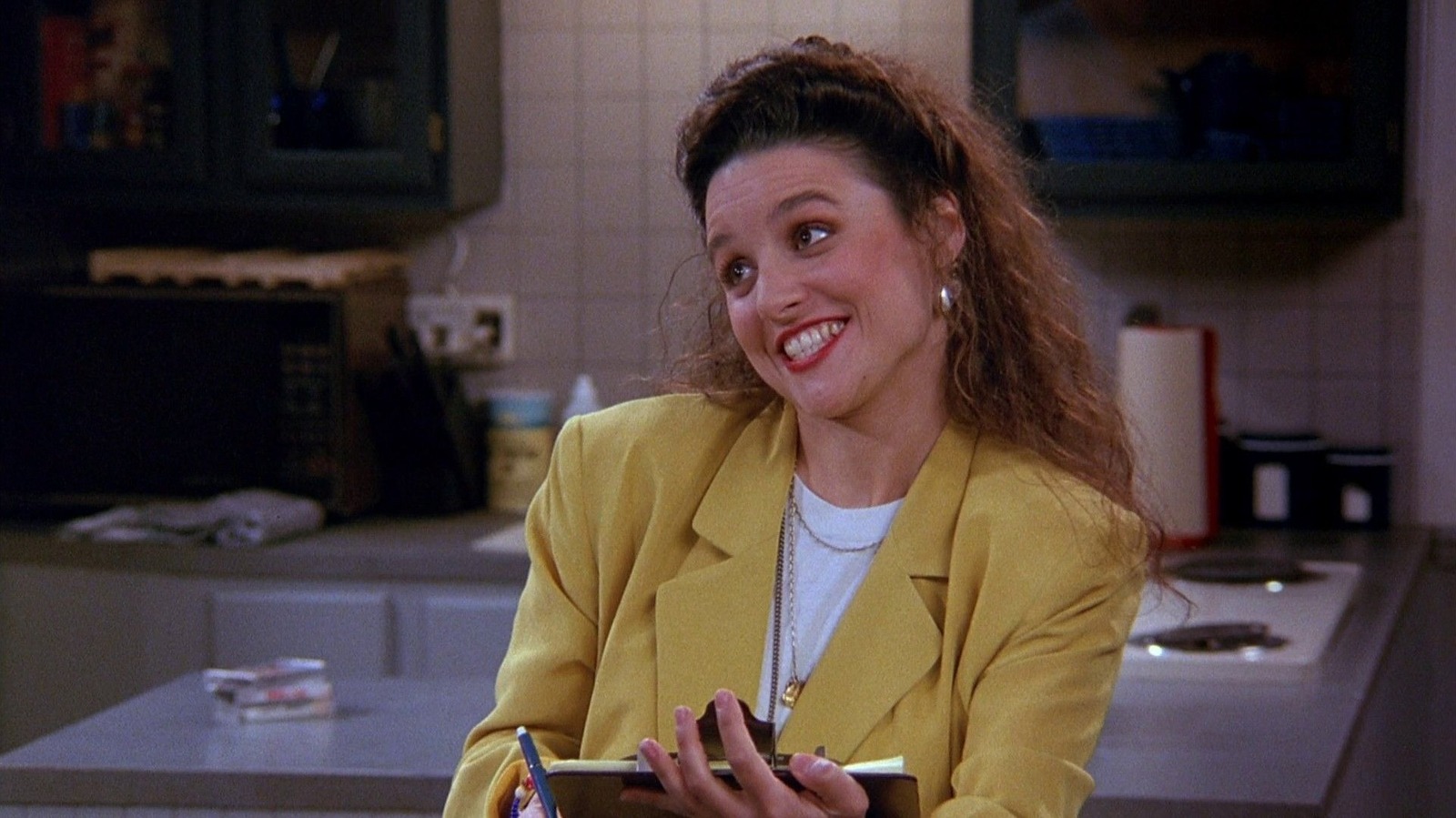 Julia Louis-Dreyfus Doesn't Think Seinfeld Could Get Made Today