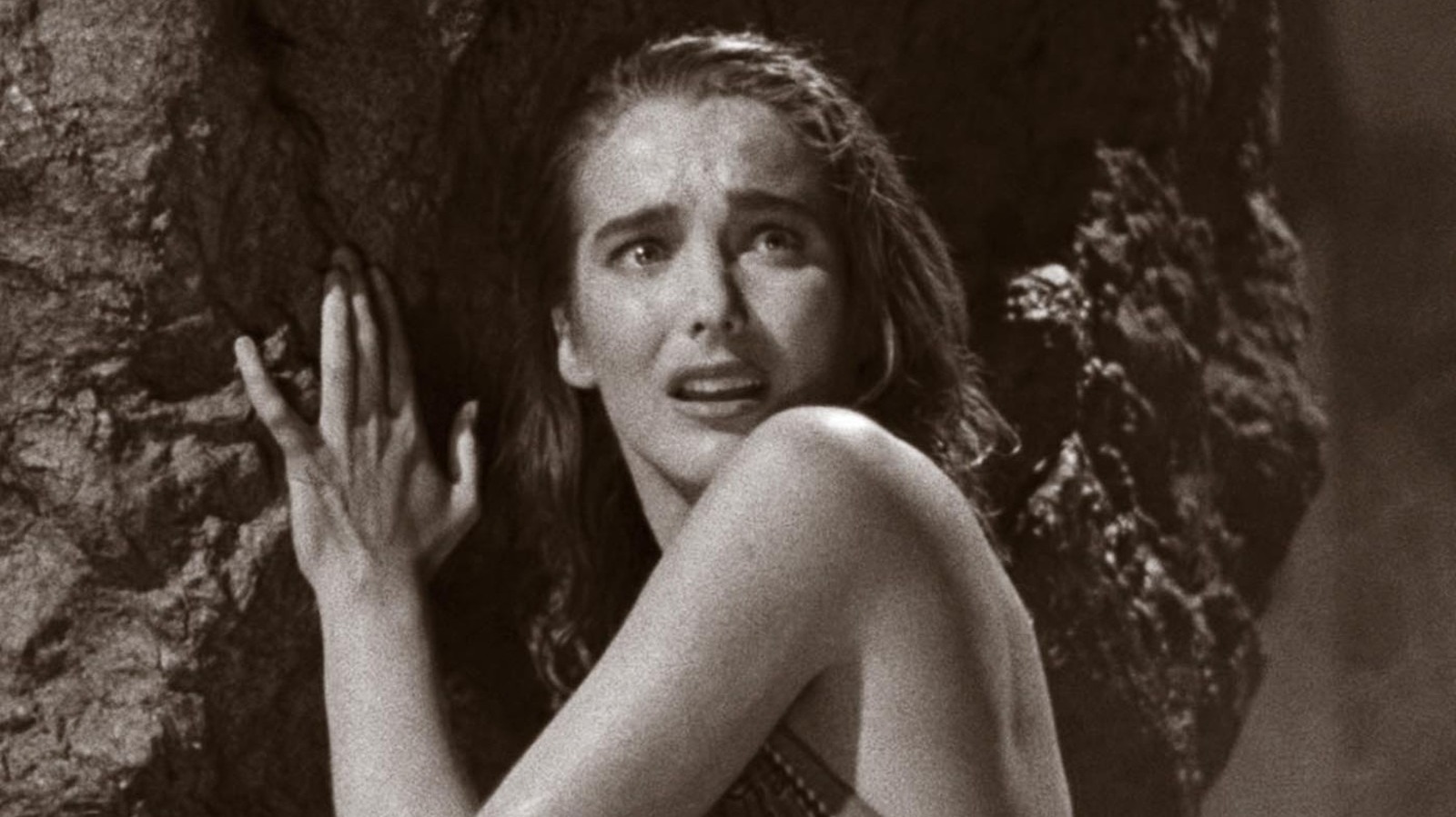 Julie Adams