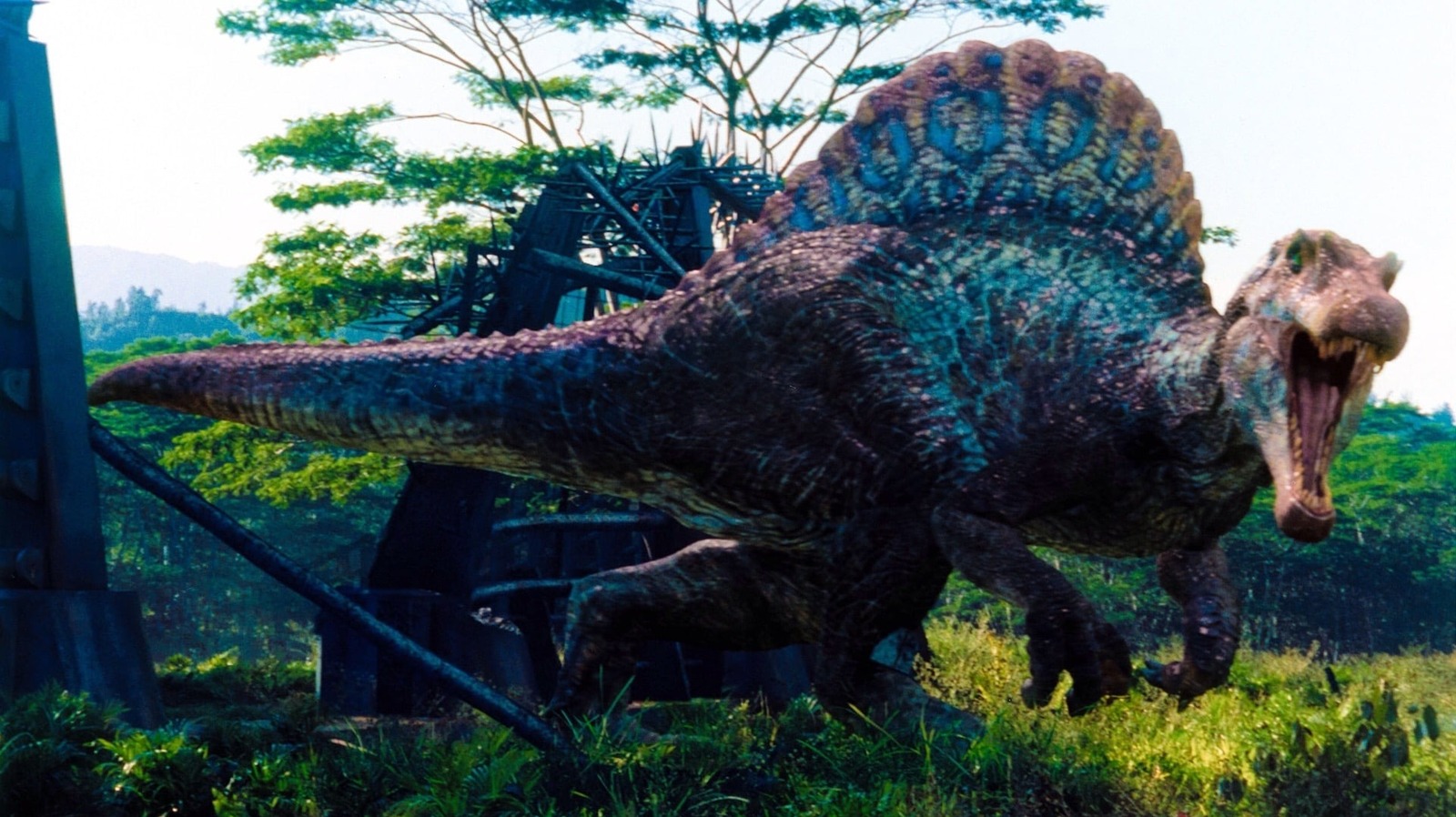 Was The Spinosaurus From Jurassic Park 3 Fully Grown
