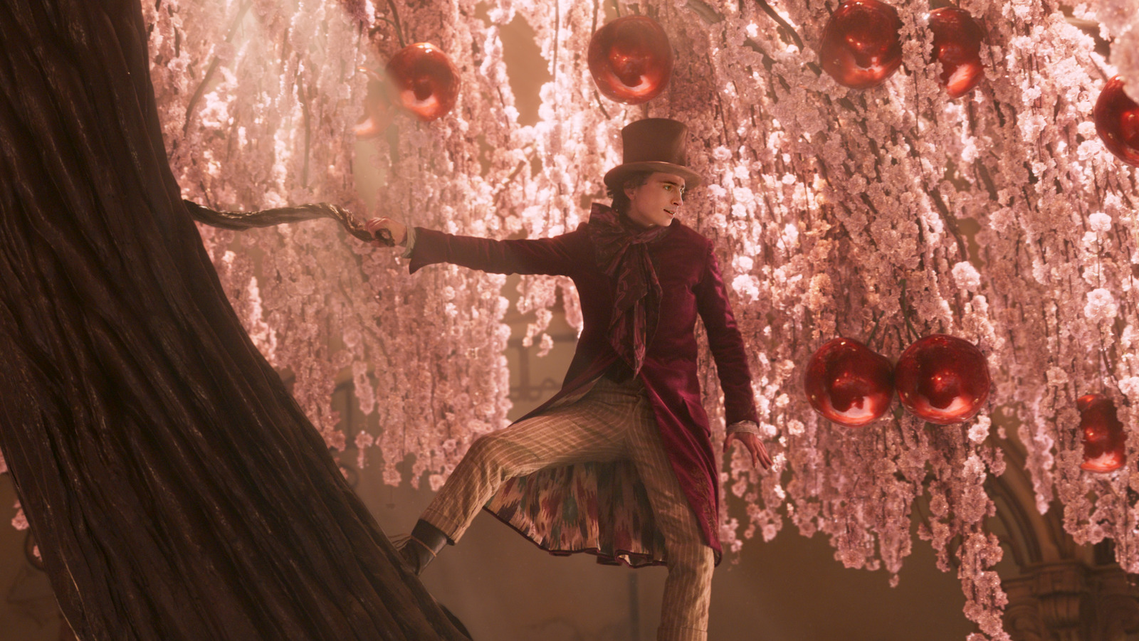 Wonka Passes $600 Million Ahead Of Timothee Chalamet's Return In Dune ...