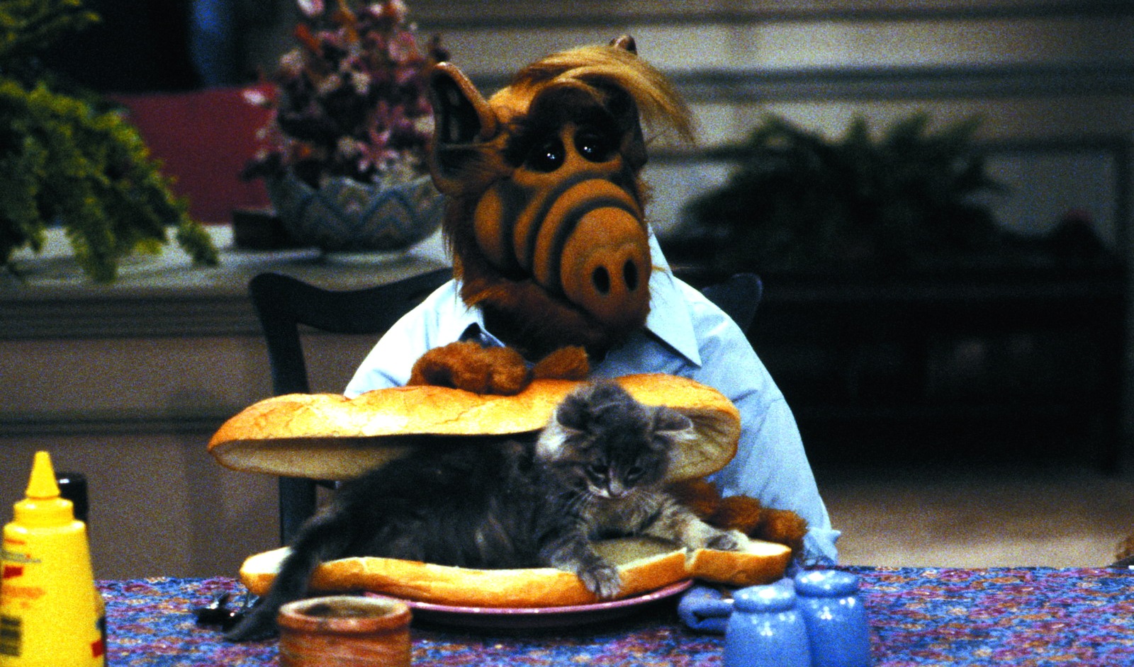 'Smurfs' Producer Will Now Also Turn ALF Into A CG/Live-Action Hybrid ...