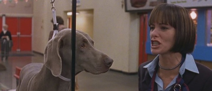 20 Years Ago, 'Best In Show' Provided The Kind Of Comedy We Need Right Now