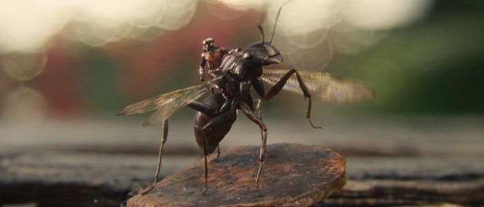 Marvel Studios Hires 'Rick And Morty' Veteran To Write 'Ant-Man 3'