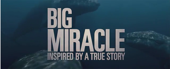 'Big Miracle' Trailer: Drew Barrymore And John Krasinski Save Some Whales