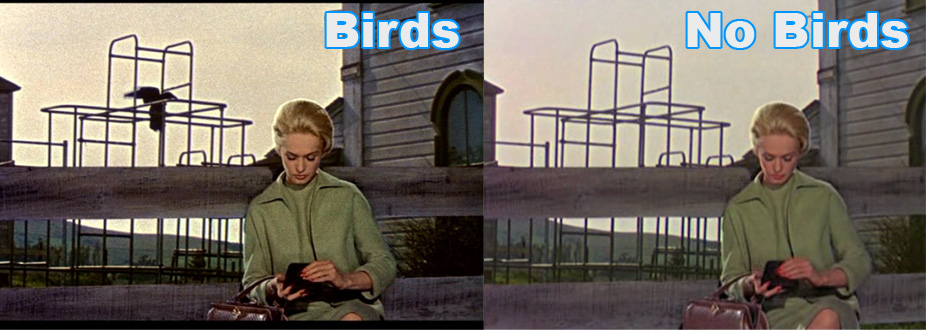 Removing The Birds From Hitchcock's The Birds
