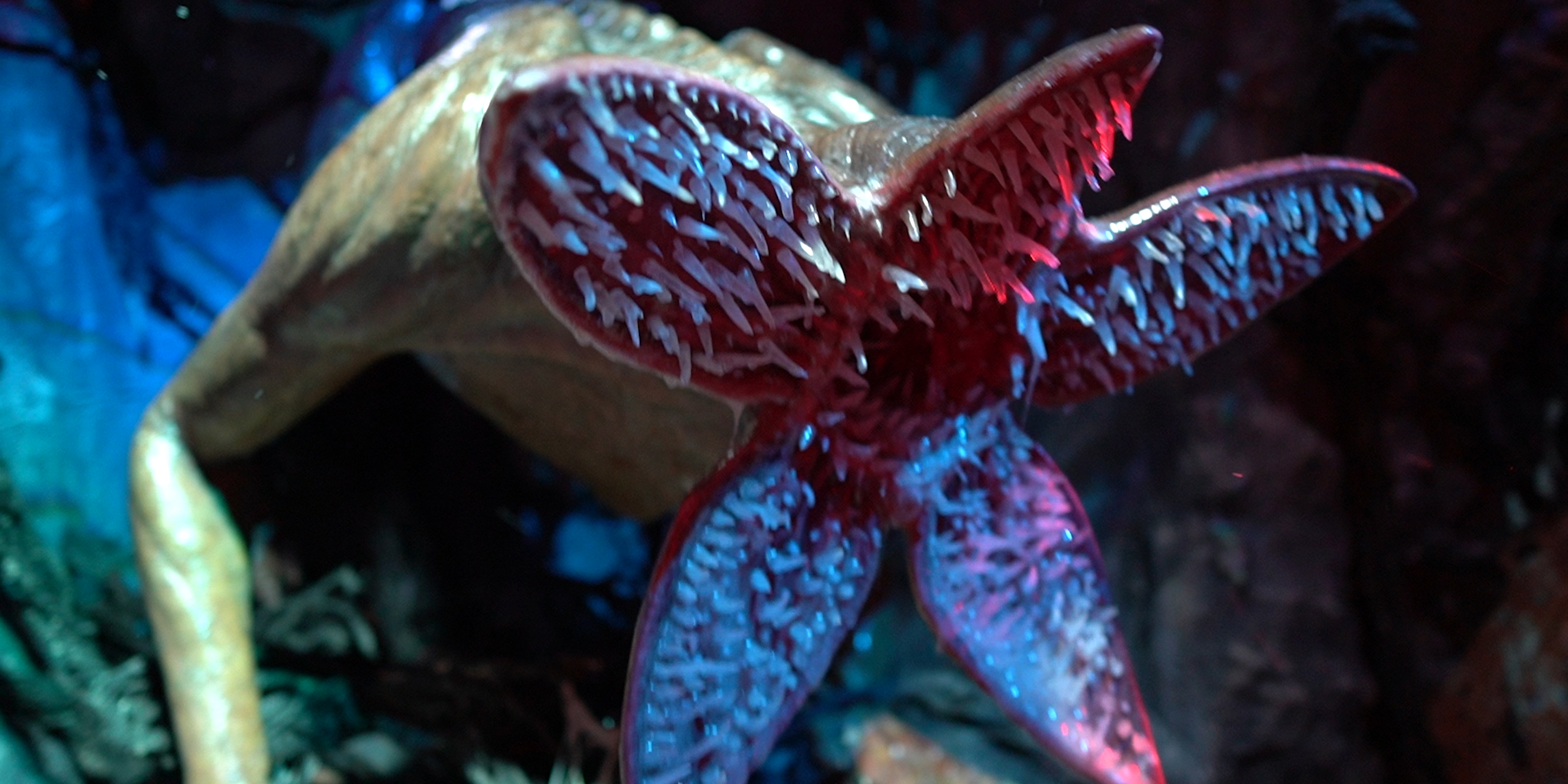 2019 Halloween Horror Nights Tribute Store: Take A Tour Of Orlando's ...