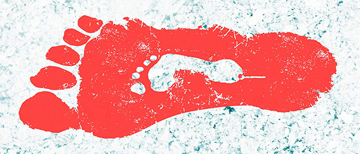 Bigfoot Thriller 'Devolution' Brings In 'Coming Home In The Dark ...