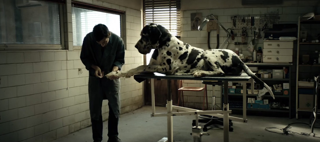 'Dogman' Review: A Morality Tale We Deserve [TIFF]