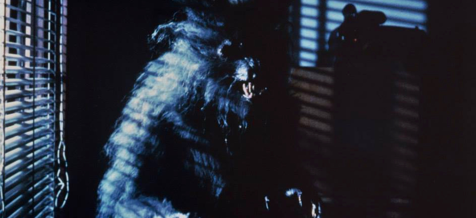 'The Howling' Remake Headed To Netflix With 'It' Director Andy Muschietti