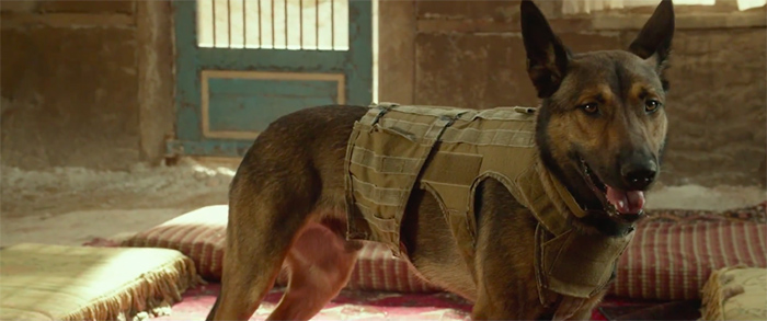 'Max' Trailer: A Dog With The Heart Of A Marine