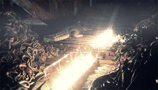 Why Did It Have To Be Snakes? First Look Inside The Ark Of 'Noah'