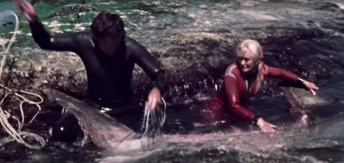 'Playing With Sharks' Trailer: The World's Greatest Shark Photographer ...