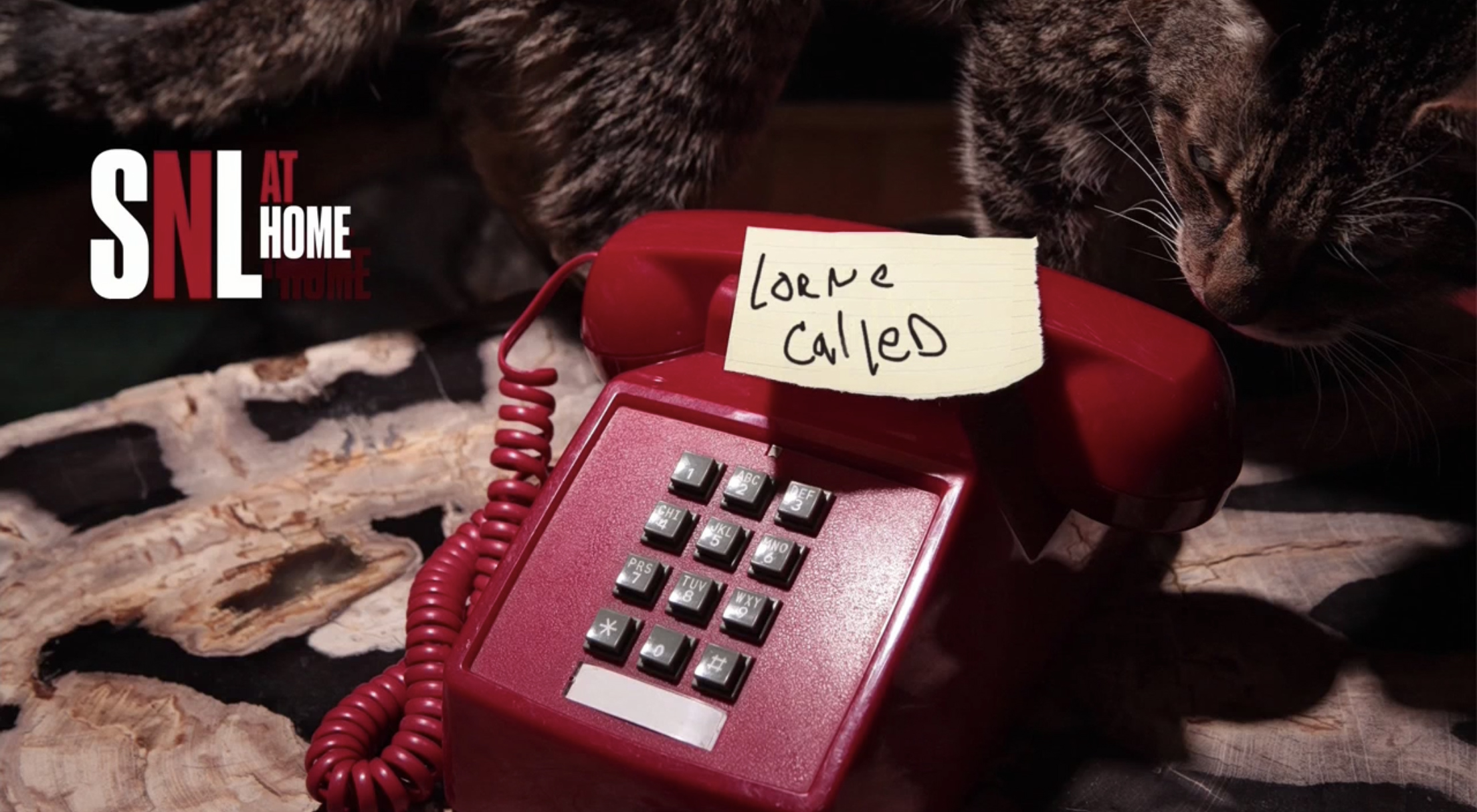 'Saturday Night Live At Home' Is A Weird And Wonderful Pick-Me-Up, And ...