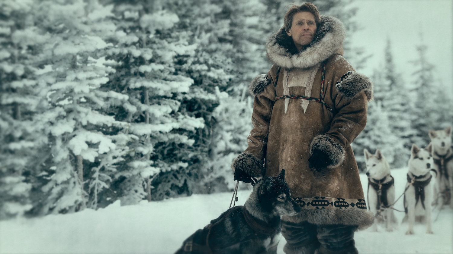  Togo Trailer Willem Dafoe And His Dog Sled Their Way Into Our Hearts