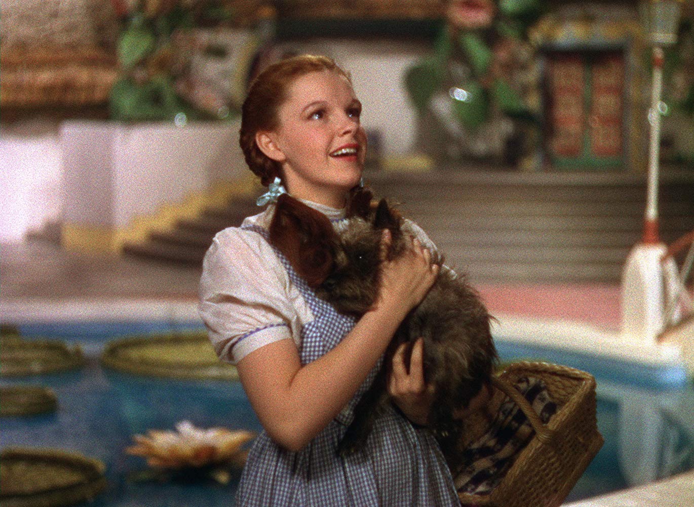 'The Wizard Of Oz' Animated Film Will Retell The Story From Toto's ...